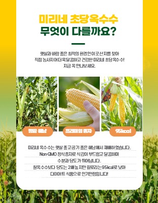 Chodang Corn Details - MiriCanvas
