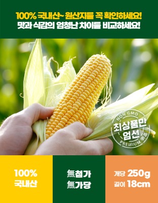 Chodang Corn Details - MiriCanvas
