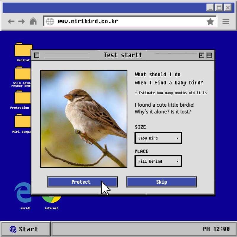 Old Blue and Gray Computer Baby Bird CardNews - MiriCanvas