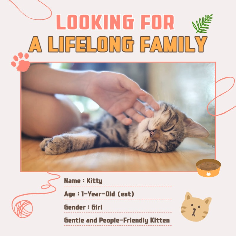 Promote a pink thread concept cat adoption announcement - MiriCanvas