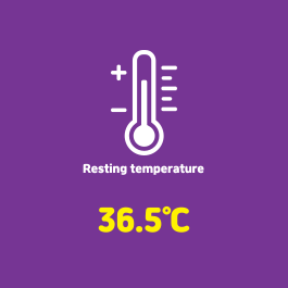 Purple Yellow Illustration Corona Temperature Guide - MiriCanvas