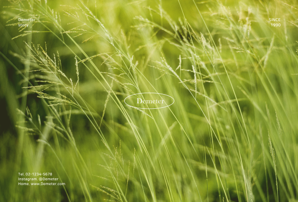 Simple Photo Background CardPostcard - MiriCanvas