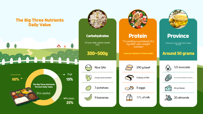 Nutrient daily intake guide with illustrations highlighted in green ...