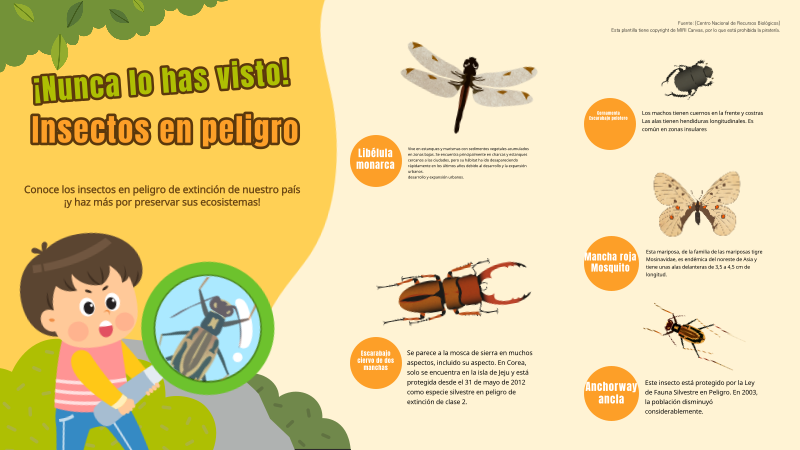 Infografía sobre insectos amarillos en peligro de extinción - MiriCanvas