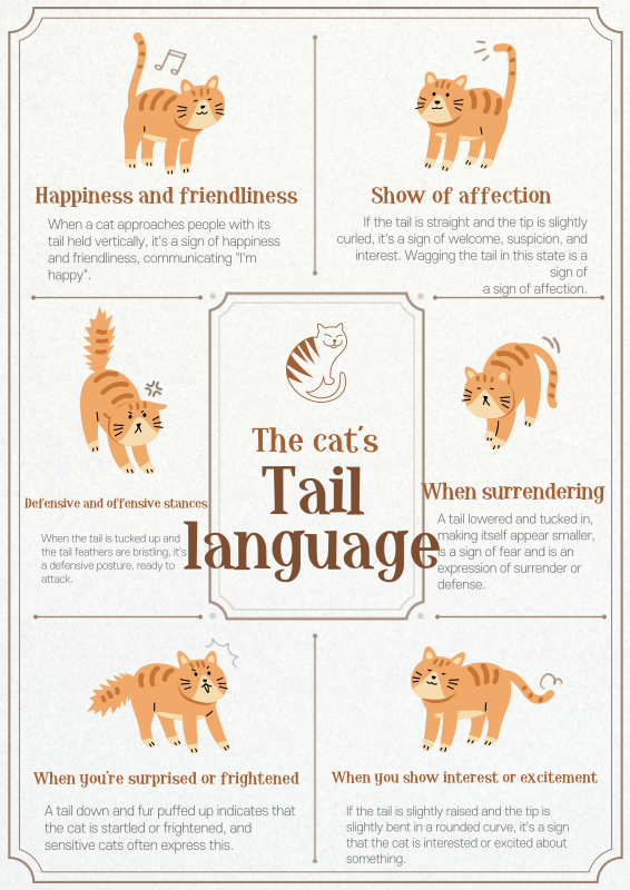 Ivory paper-textured cat's tail language translator - MiriCanvas
