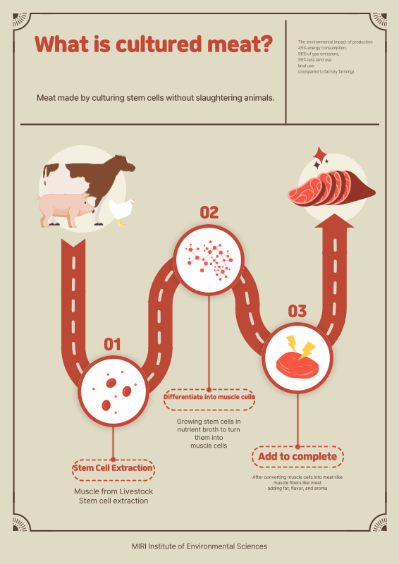 Roadmap of the beige and red cultured meat production process - MiriCanvas