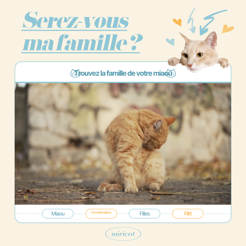 Promotion d'une crèche biologique sur fond jaune avec des photos et ...