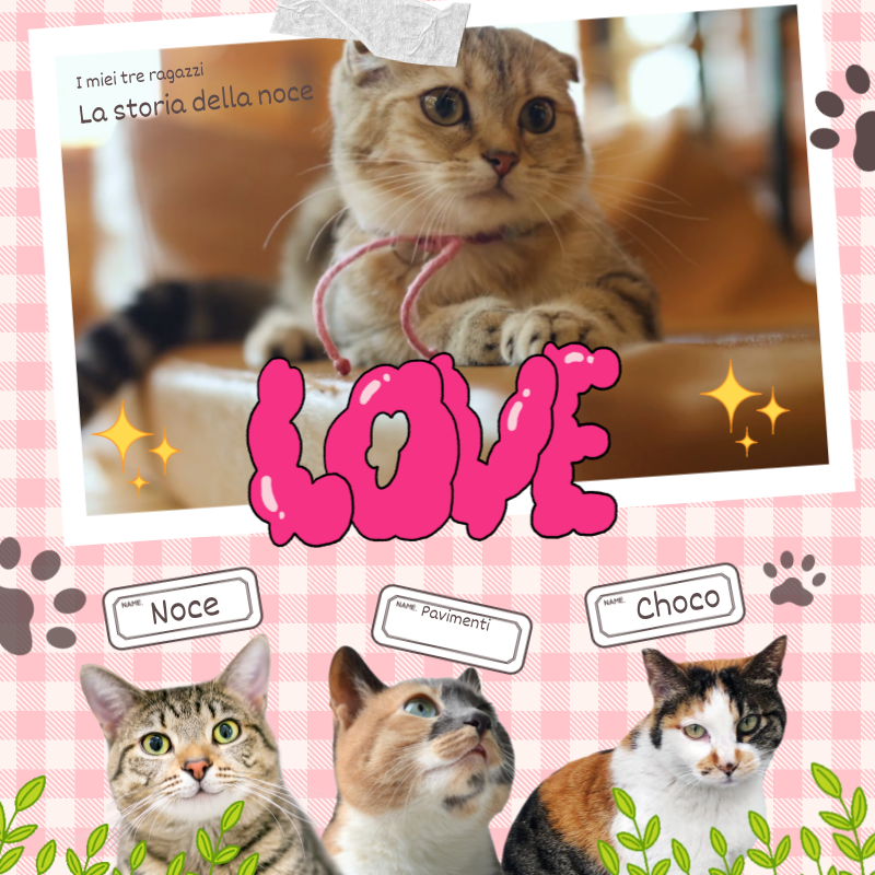 Incontra il simpatico gatto rosa a scacchi - MiriCanvas