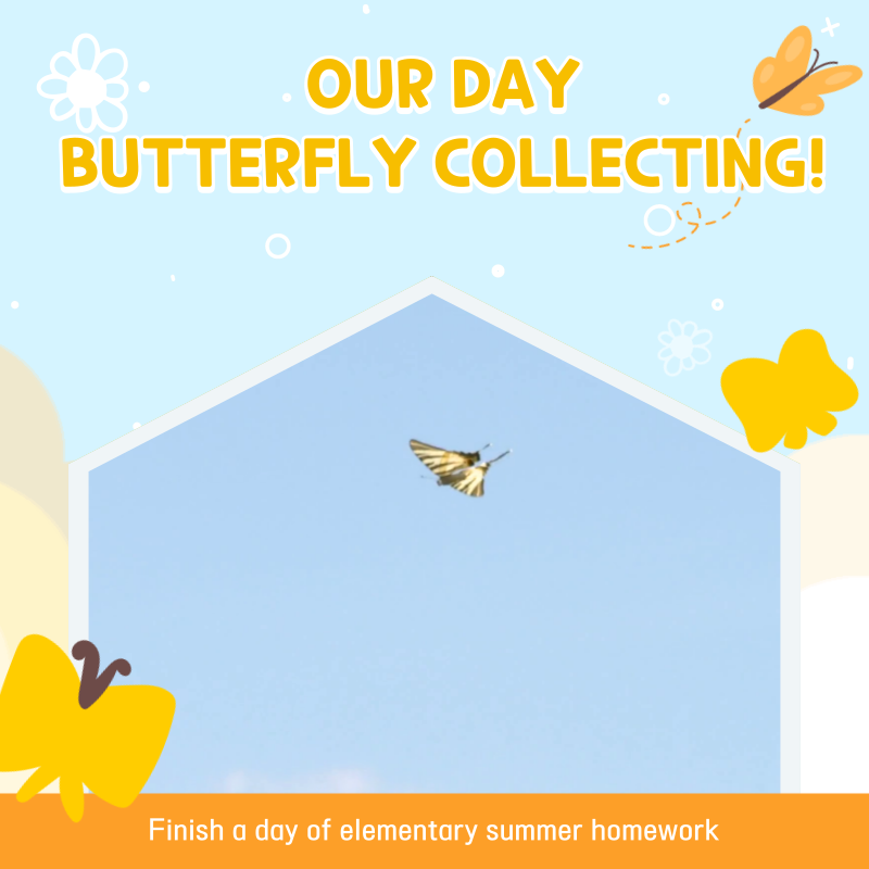 Cute butterfly with yellow illustration - MiriCanvas