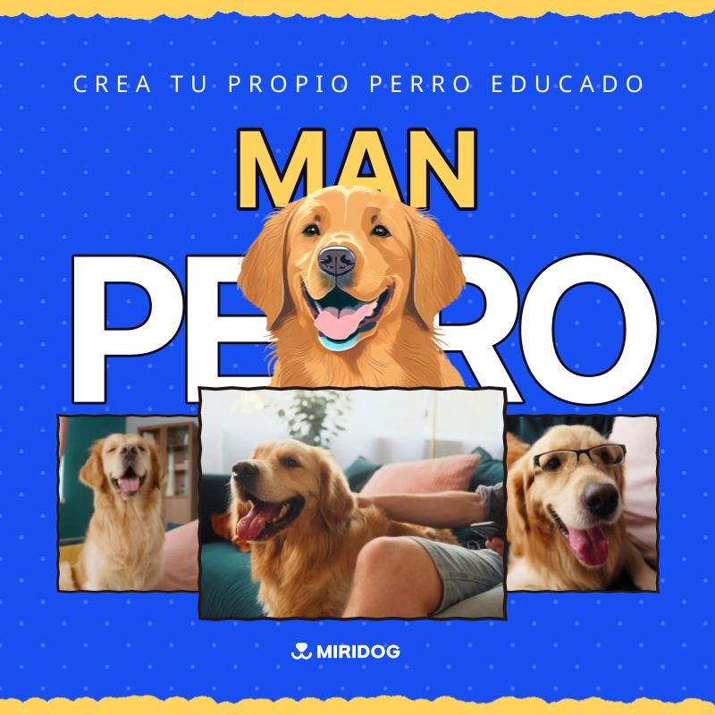 Adiestramiento para cachorros azul y amarillo con un toque especial ...