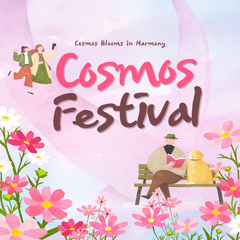 Announcing the trendy Cosmos Festival with a pink backdrop - MiriCanvas