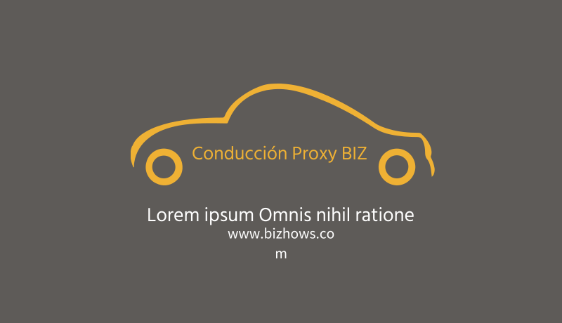 BIZ Proxy Driving - MiriCanvas
