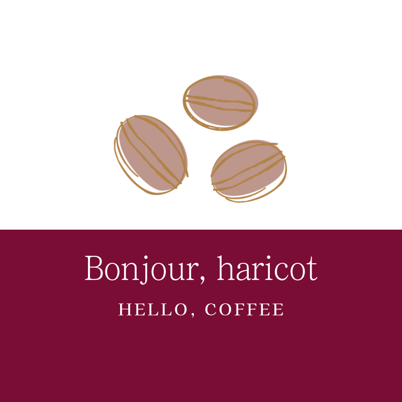 Bonjour Bean - MiriCanvas