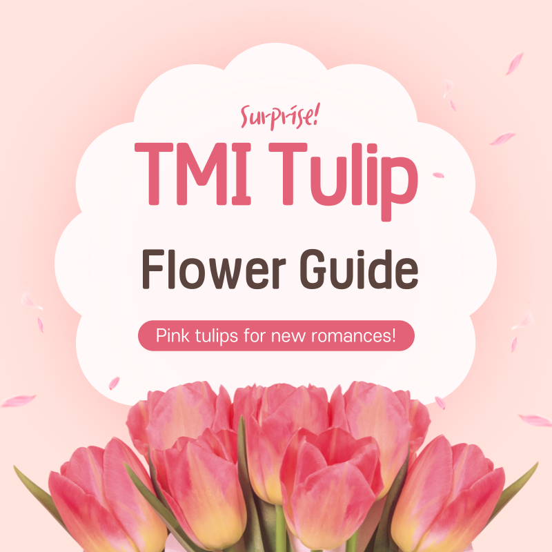 Pink Tulip FlowerDictionary CardNews Design - MiriCanvas