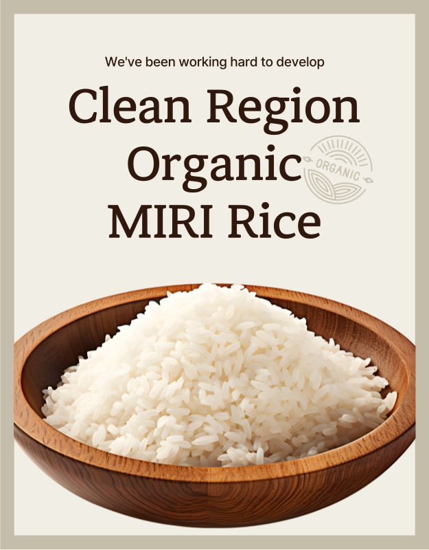 A modern introduction to brown and ivory organic rice - MiriCanvas
