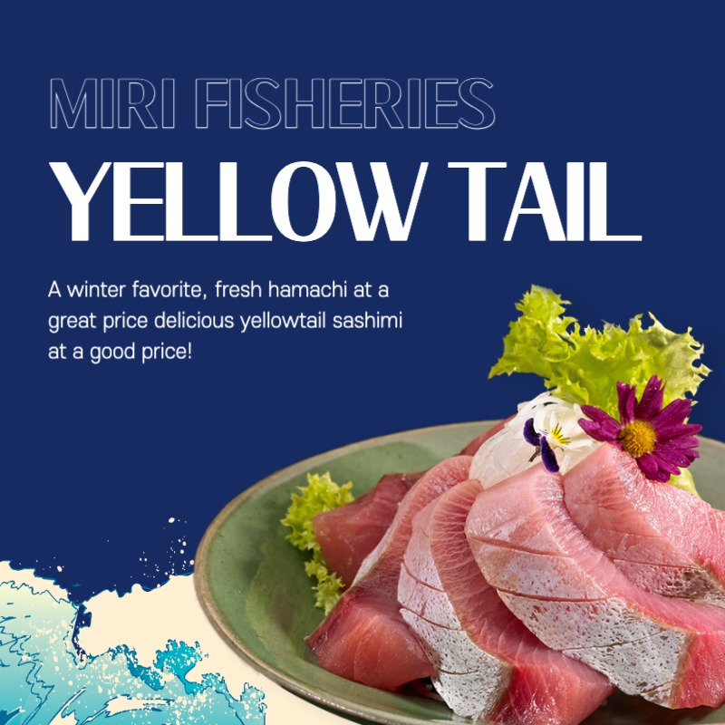 Yellowtail winter food theme with blue text highlighting - MiriCanvas