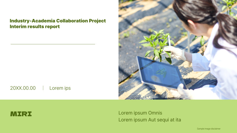 Basic collaborative project reports in abstracts - MiriCanvas