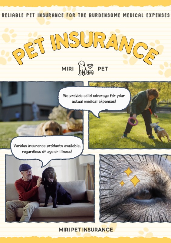 Yellow, kitschy pet insurance ads - MiriCanvas