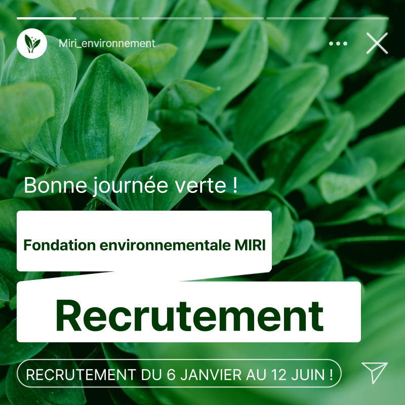 Promouvoir le recrutement de volontaires verts, blancs et modernes dans ...