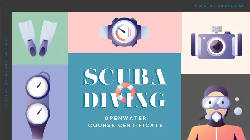 Introduce scuba diving programs with colorful illustrations and ...