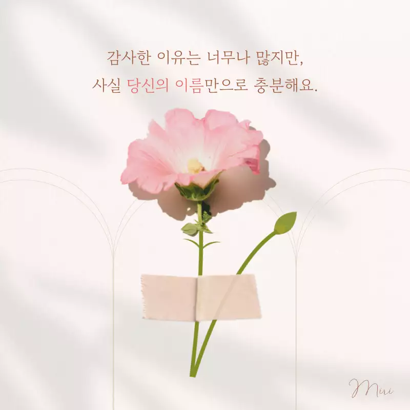 핑크색과 아이보리색의 심플한 감성글귀 게시글 미리캔버스