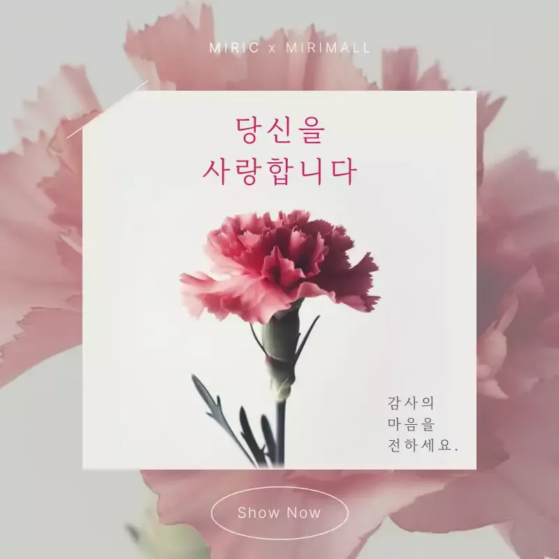 핑크의 심플한 어버이의 날 홍보 미리캔버스