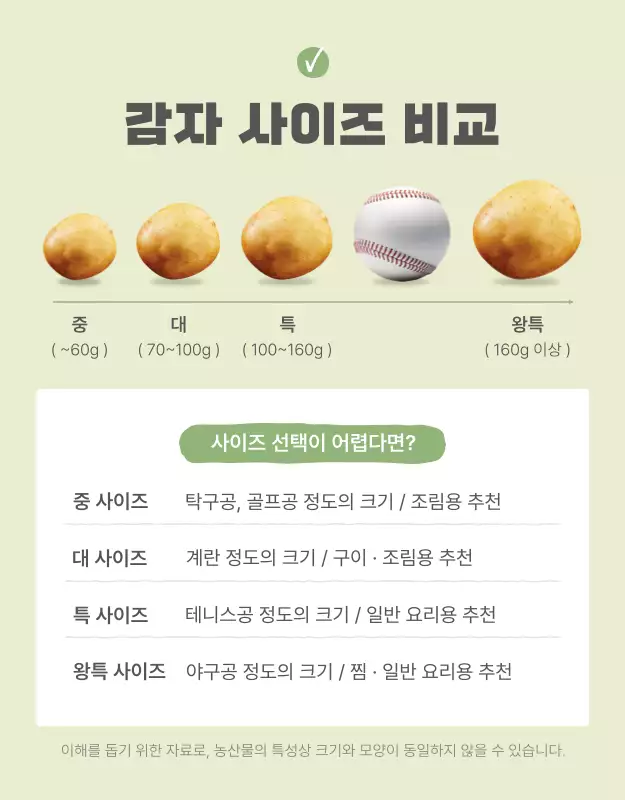 초록과 연두의 자연의 건강한 농산물 감자 판매 홍보 미리캔버스