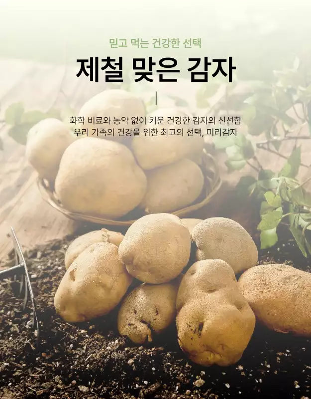 초록과 연두의 자연의 건강한 농산물 감자 사진 레이아웃 홍보 미리캔버스