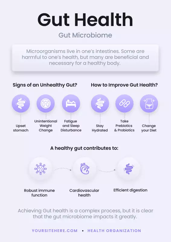 Gut Health Infographic - MiriCanvas